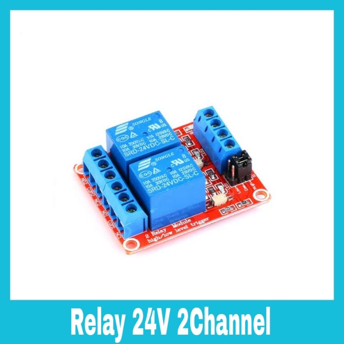 Jual Relay 24V 2 Channel Module High / Low Level Trigger Opto Isolation ...