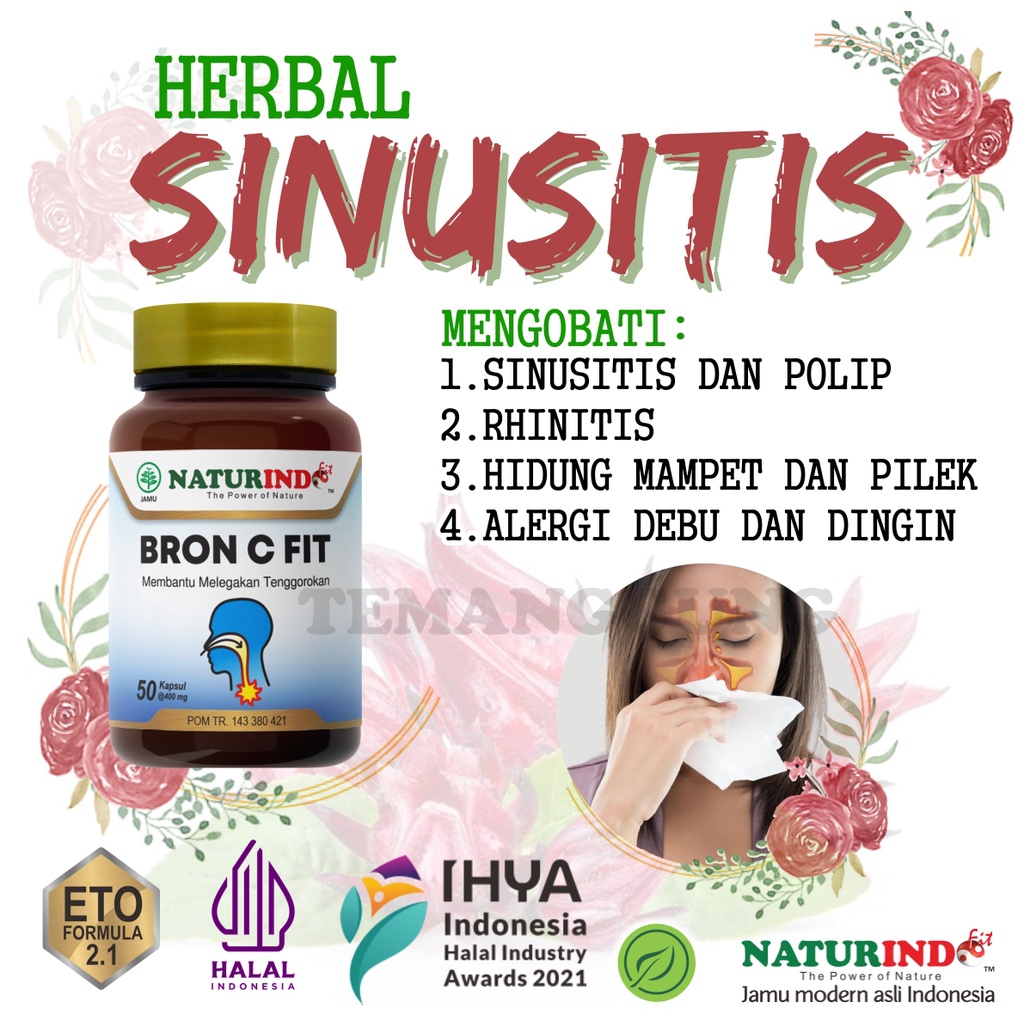 Jual Obat Herbal Sinusitis sinus Rinitis Polip Flu Menahun Pilek Hidung ...