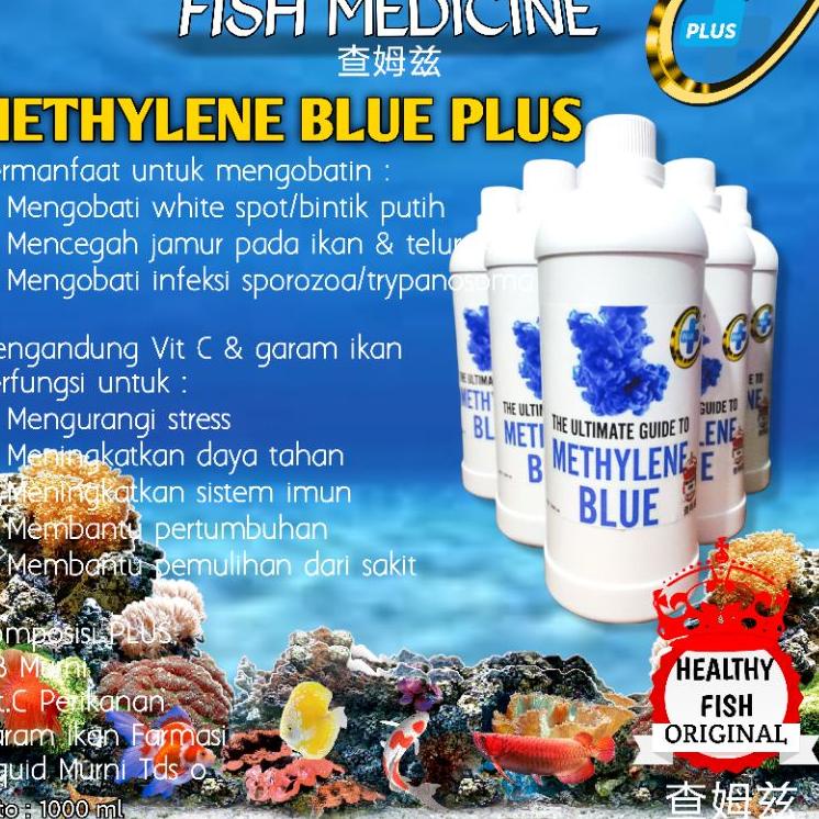 Jual 【Penjualan Terbaik】 COD Original healthy fish Methylene blue 1 ...
