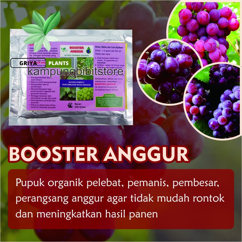 Jual Pupuk Booster Anggur Perangsang Buah Ampuh Agar Cepat Berbuah