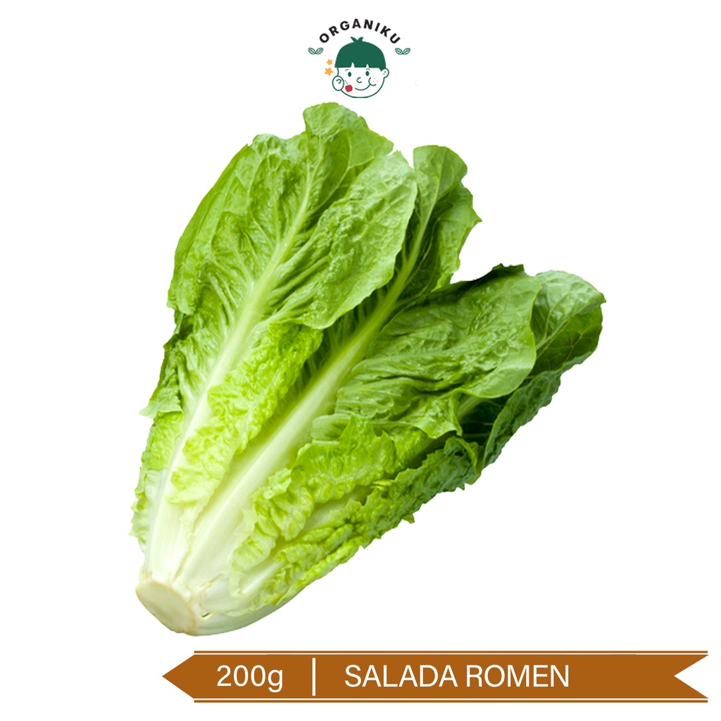 Jual Salada Romen Organik 200g / Selada Cos / Organic Romaine Lettuce 200g | Shopee Indonesia