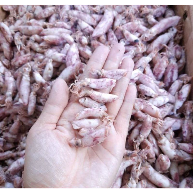 Jual baby cumi kering fresh 100gr-250gr | Shopee Indonesia