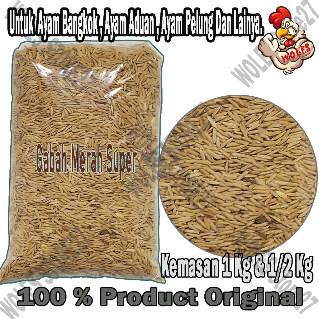 Jual Gabah Merah Pakan Makanan Ayam Jago , Bangkok , Aduan , Lovebird ...