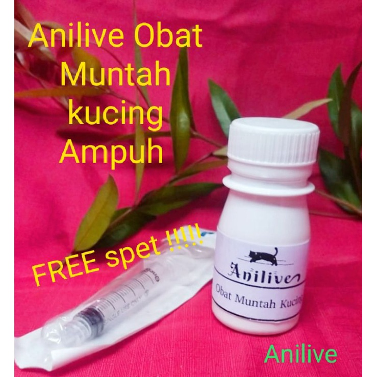 Jual Anilive-obat anti muntah kucing FREE spet mengobati kucing sering ...