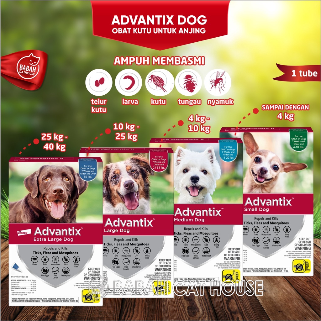 Jual ADVANTIX DOG Obat Anti Kutu & Nyamuk Anjing Dewasa Adult Anak ...