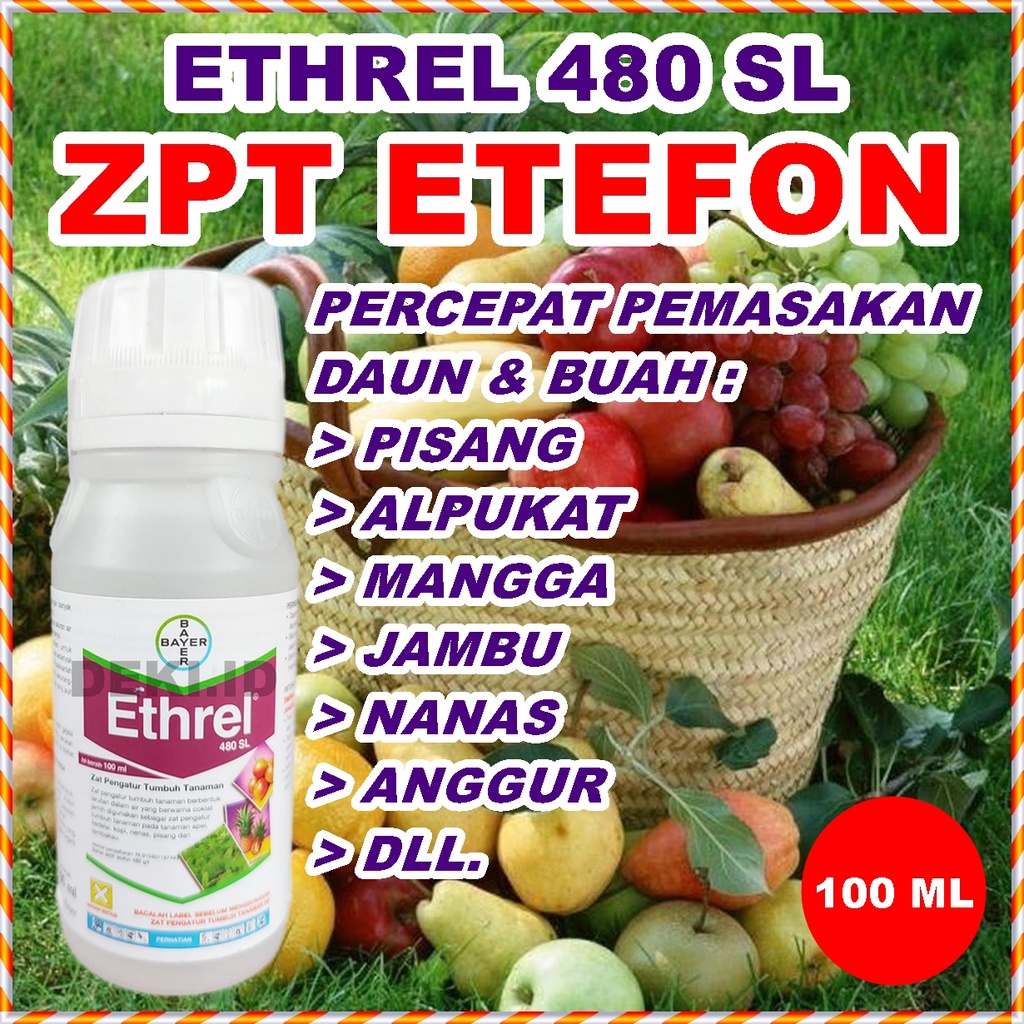 Jual Ethrel 100 ML Etefon 480 SL ZPT Zat Pematang Buah Naga Pematangan ...