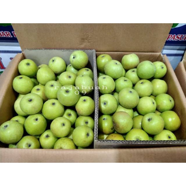 Jual Buah Apel Manalagi Apel Malang Buah Apel Segar 1 Kg Manis | Shopee ...