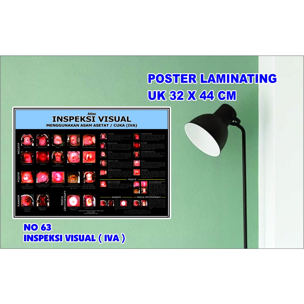 Jual POSTER KESEHATAN NO 63 INSPEKSI VISUAL ( IVA) LAMINATING | Shopee ...