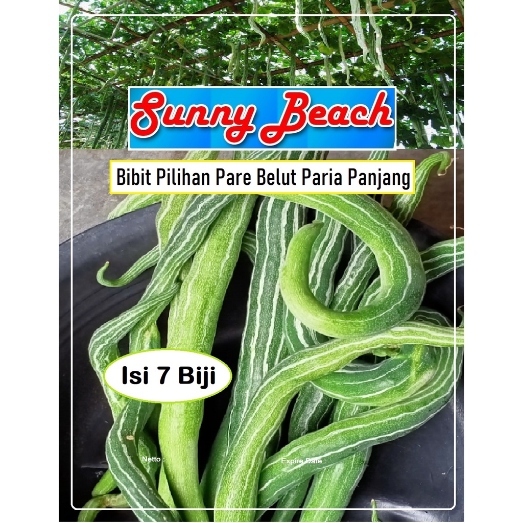 Jual Bibit Pilihan Pare Belut Paria Panjang | Biji Benih Pare Paria ...