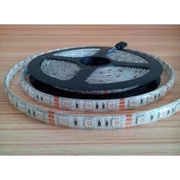Jual Lampu LED Strip 12v & 24V TYPE 5050 Waterproof SMD 5 meter | Shopee Indonesia