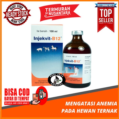 Jual READY INJEKVIT B12 INJEKVIT-B12 MEDION OBAT HEWAN SAPI DOMBA ...