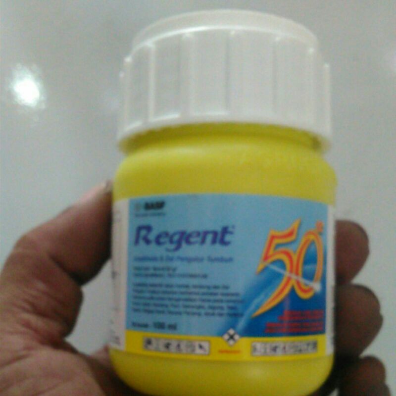 Jual obat pertanian insektisida REGENT 100ml | Shopee Indonesia