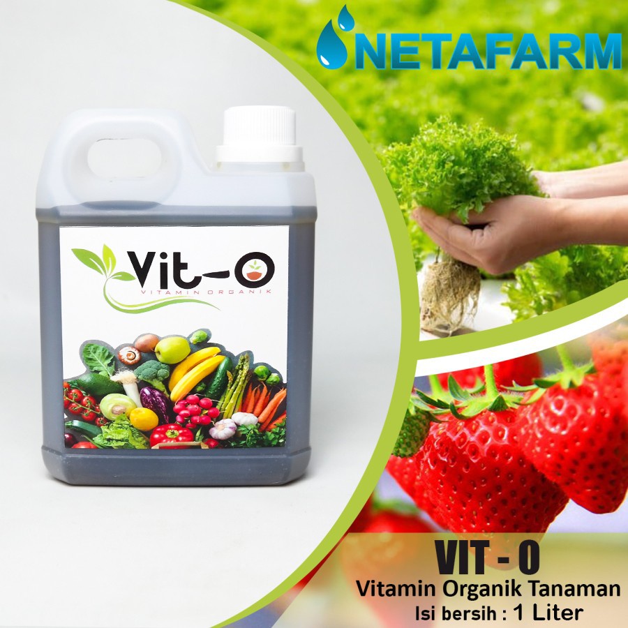 Jual Vitamin Organik Tanaman VIT-O 1000ml - 1Pc | Shopee Indonesia