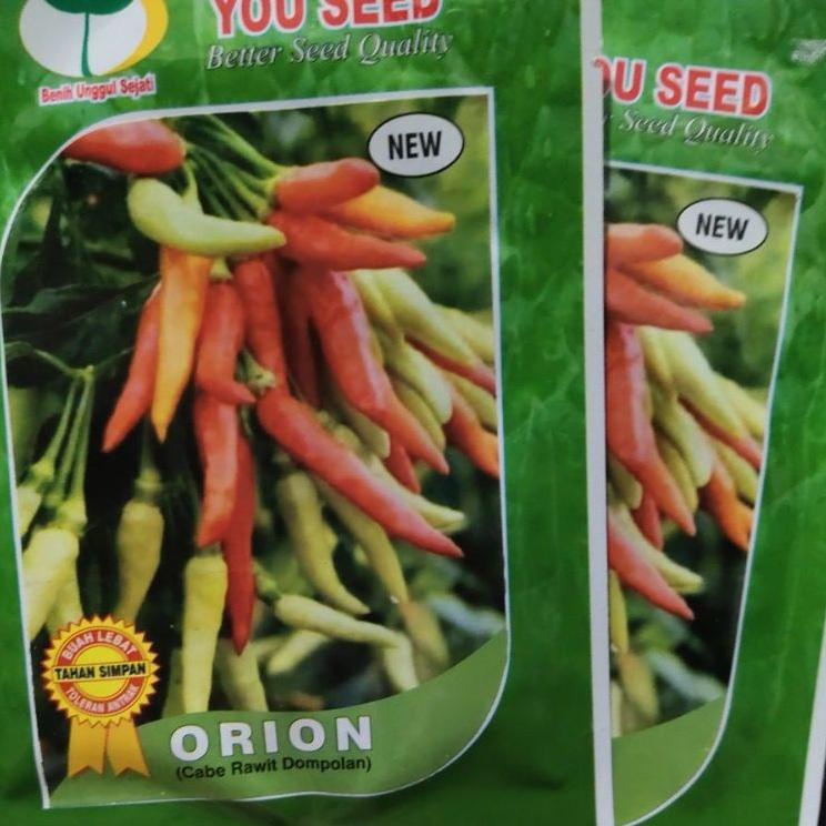 Jual Benih cabe rawit ORION F1 10 gram cabe rawet putih merunduk ...