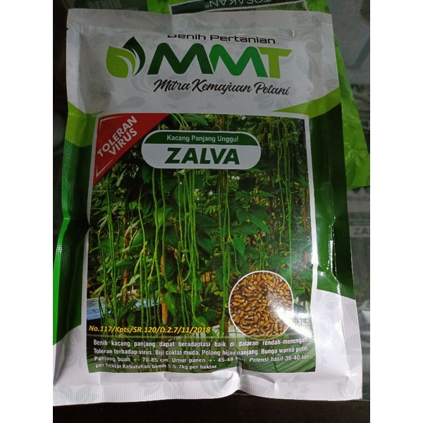 Jual ZALVA Benih KACANG PANJANG dari MMT (TOLERAN VIRUS) | Shopee Indonesia