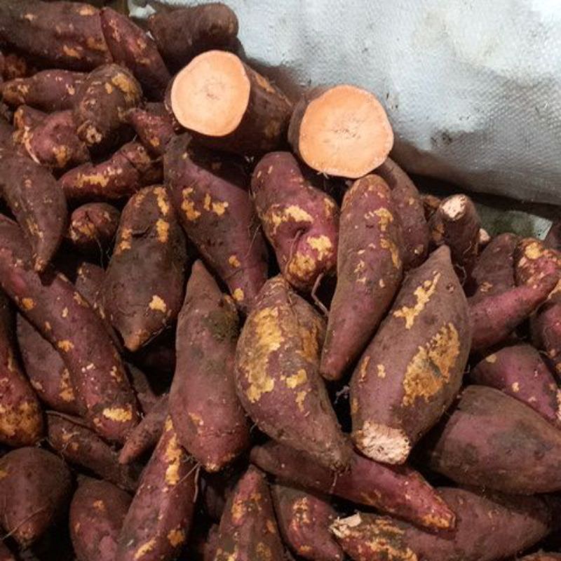 Jual Ubi Merah Cered 500g | Shopee Indonesia