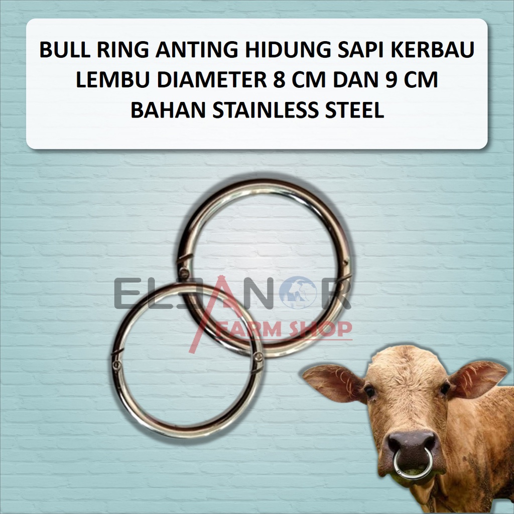 Jual Bull Ring Anting Hidung Sapi Kerbau Lembu Diameter 8 cm dan 9 cm ...