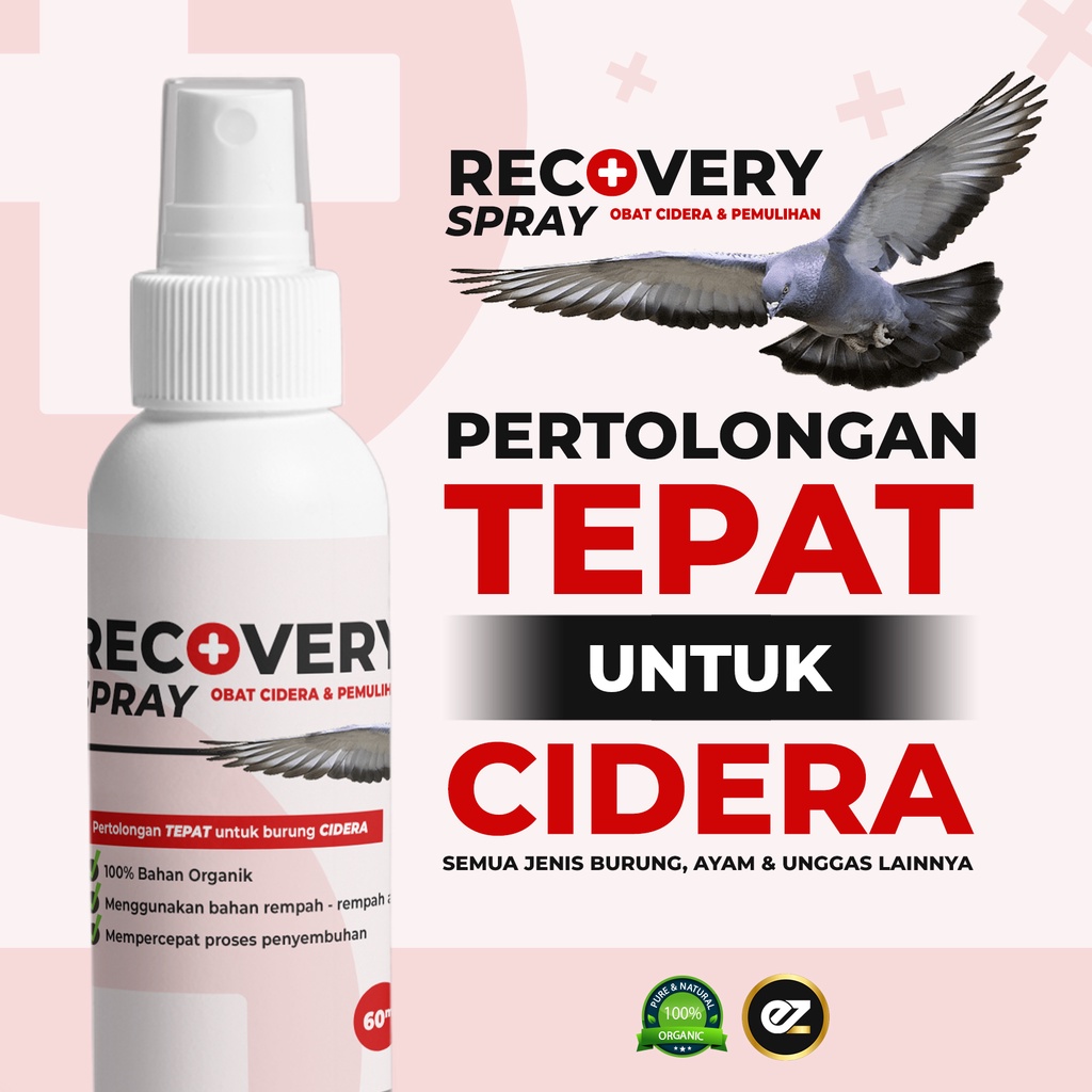 Jual RECOVERY Spray untuk Merpati CIDERA terkilir/pincang/keseleo/patah ...