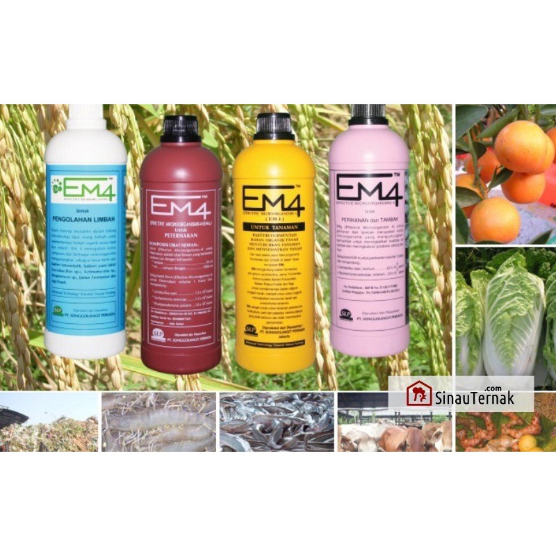 Jual READY EM4 1 BOTOL DISTRIBUTOR DIJAMIN ASLI MIKRO ORGANISME ...