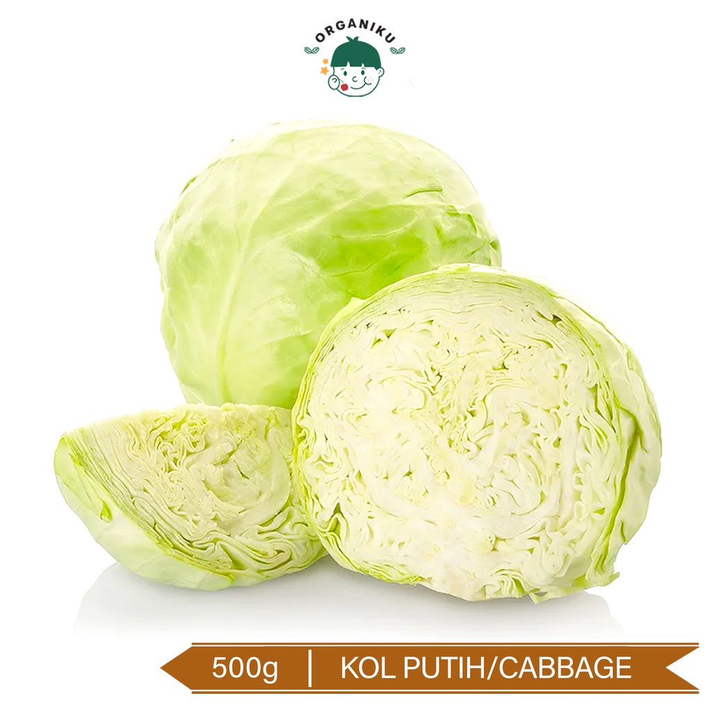 Jual Kol Putih Organik 500g / Organic Cabbage 500g | Shopee Indonesia
