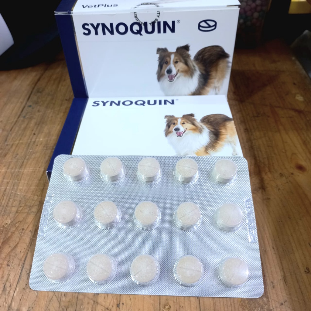 Jual VETPLUS Synoquin EFA MEDIUM BREED Dog 10 - 25 Kg Vitamin Suplemen ...