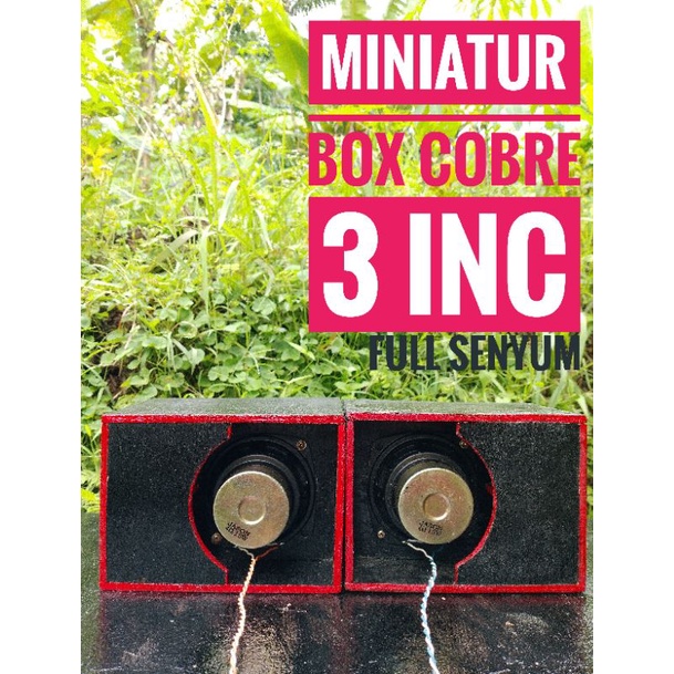 Jual BOX COBRE 3 INC / MINIATUR BOX SPIKER / MINIATUR SOUND SYSTEM ...
