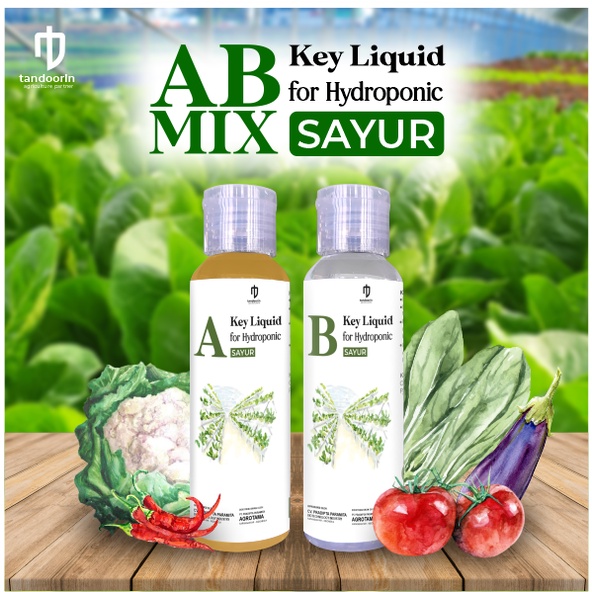 Jual Larutan Nutrisi AB MIX Hidroponik Tanaman Sayur Menjadi Lebih ...