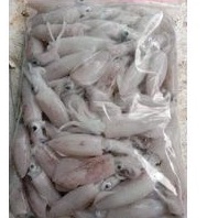 Jual BABY CUMI CANTIK SEGAR 1KG | Shopee Indonesia