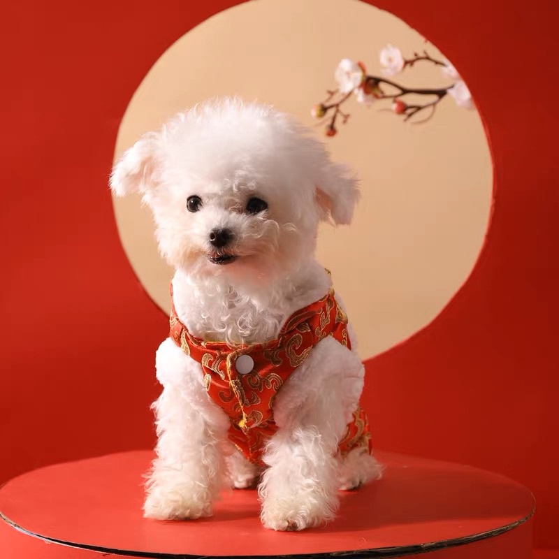 Jual Kostum Imlek - Cosplay Chinese New Year Anabul Anjing Kucing ...