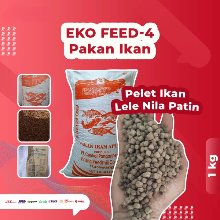 Jual PAKAN IKAN PELET APUNG EKO FEED - 4 1kg PAKAN Ikan Mas, Lele ...