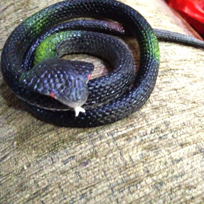 Jual mainan ular karet snake cobra viper panjang - pilih warna | Shopee ...