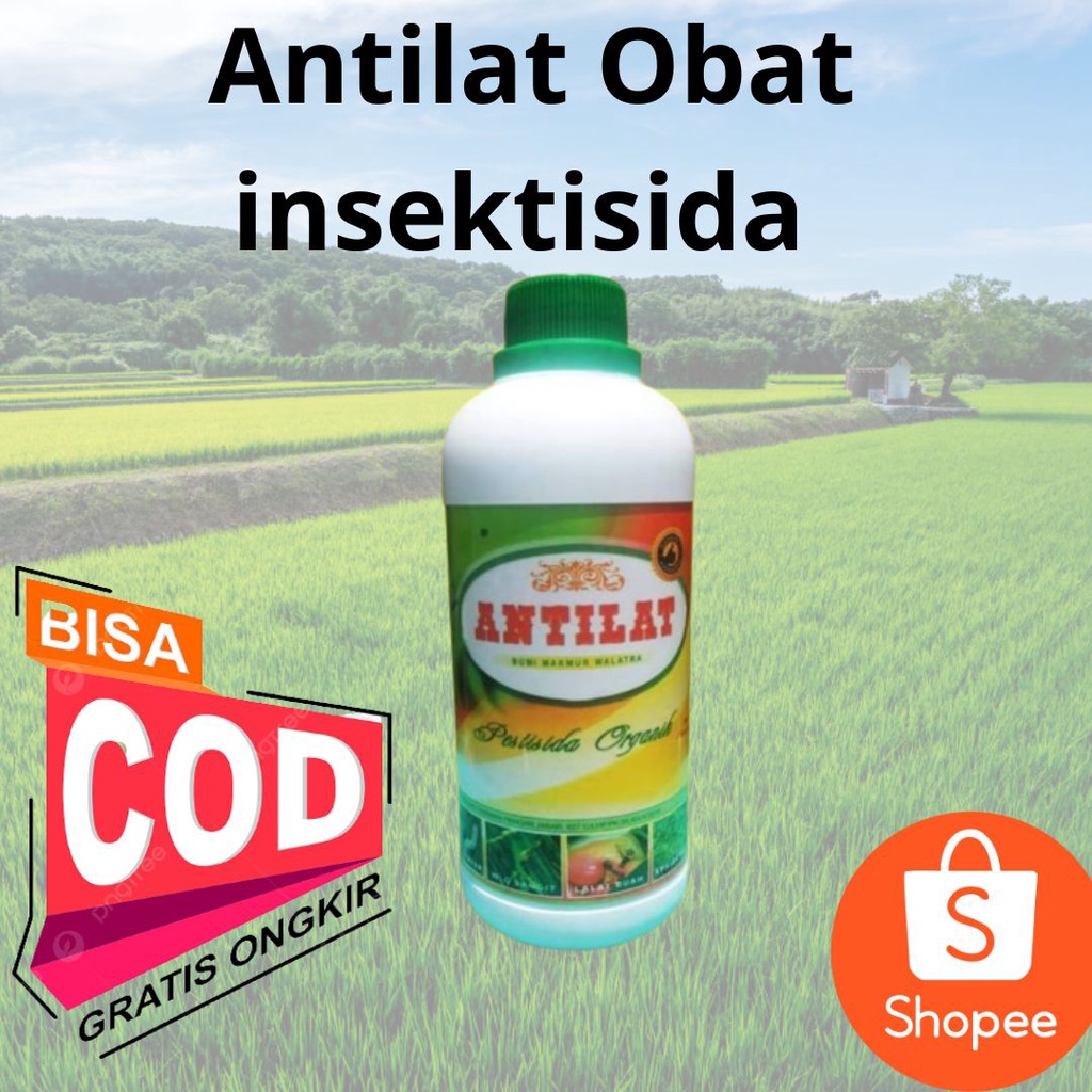 Jual pupuk insektisida Antilat Obat insektisida racun pengusir hama ...