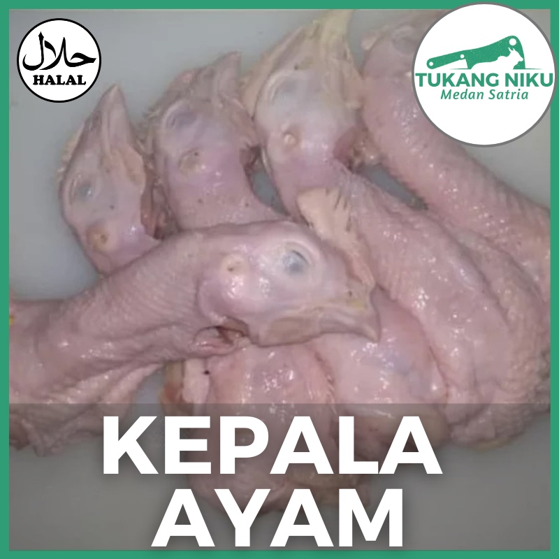 Jual KEPALA AYAM - HALAL JEROAN AYAM FRESH FROZEN SEGAR BEKU PALA LEHER ...