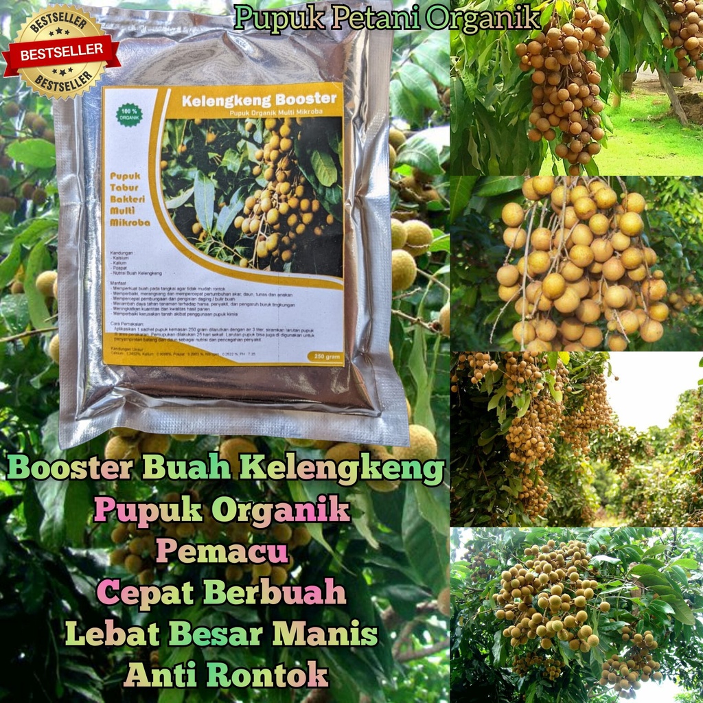 Jual Pupuk Organik Booster Pelebat Buah Kelengkeng, Pupuk Kelenkeng Isi 250 Gram | Shopee Indonesia