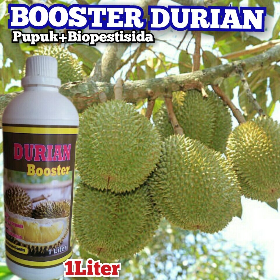 Jual Pupuk organik cair Buah drian Cegah Hama Pupuk Pemacu Pembuahan Durian Pelebat Buah Cegah ...