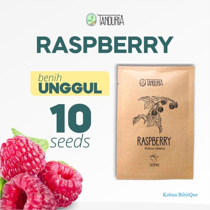 Jual TANDURIA - Benih Super Raspberry Bibit Biji Buah Buahan | Shopee ...