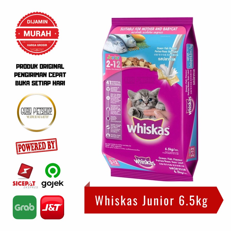 Jual Whiskas Junior Ocean Fish 6.5kg Freshpack Makanan Kering Kucing ...