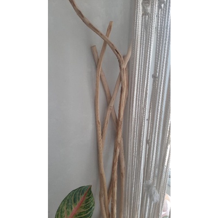 Jual Teak wood / Kayu jati / ranting jati bengkok | Shopee Indonesia