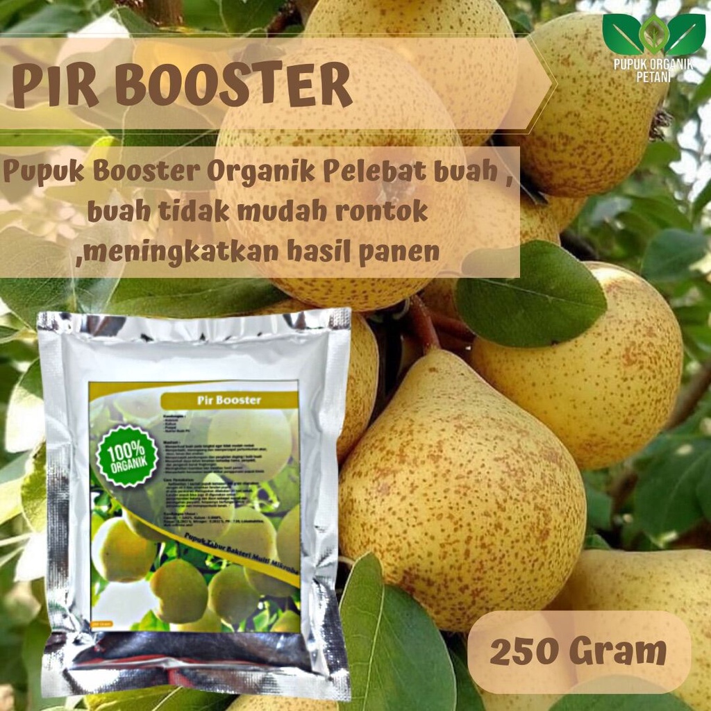 Jual Pupuk Pelebat dan Booster Buah Pir Pupuk Organik Khusus Buah Pir Pupuk Buah Pir Cepat ...