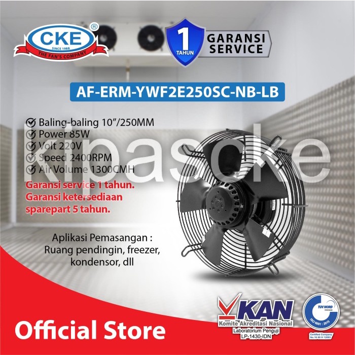 Jual Axial Fan CKE YWF2E250SC 10 Inch Drum Axial Drum Blower Blower ...