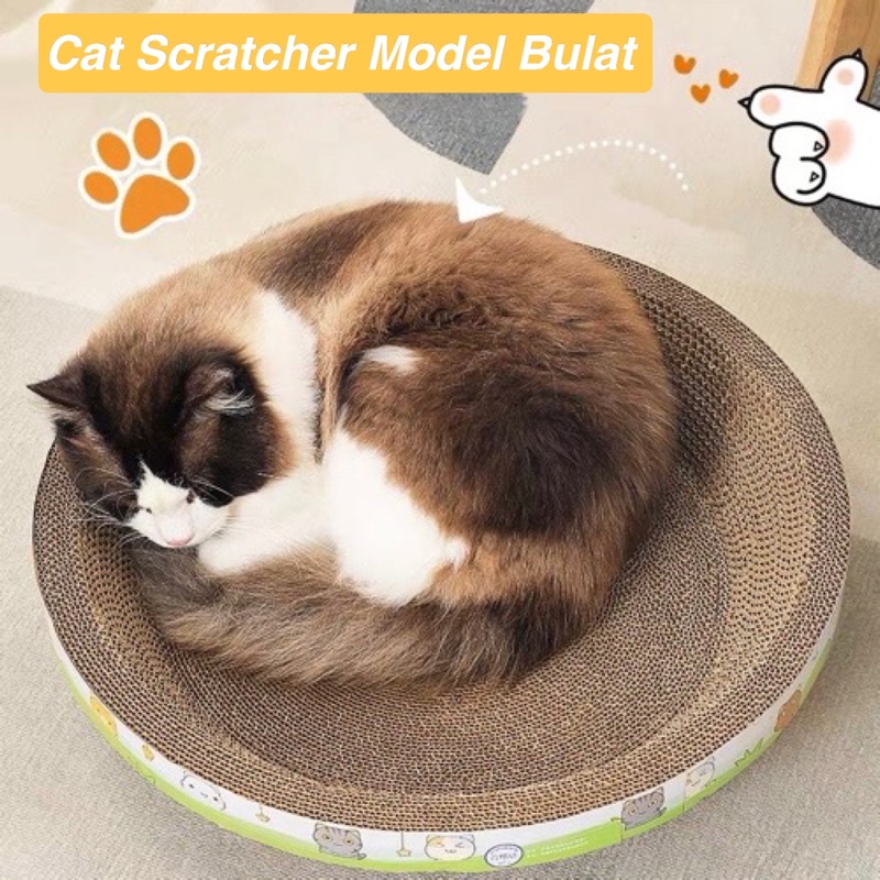 Jual Cat Scratcher Box Cakar Model Bulat Untuk Kucing - Garukan Kucing ...