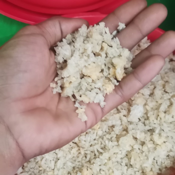 Jual [Ready Stock] nasi kering aking untuk pakan ternak 1 kg | Shopee ...