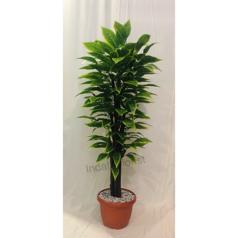 Jual Pohon Hias 160cm Daun Mangga Golden Lucky Artificial Ukuruan Besar ...
