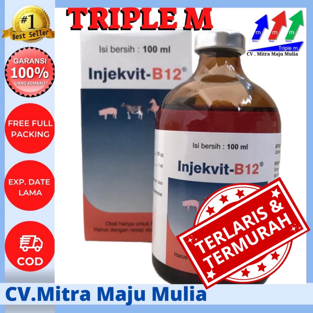 Jual INJEKVIT B12 100 ml MEDION Obat B12 Untuk Perbaiki Kondisi Tubuh ...