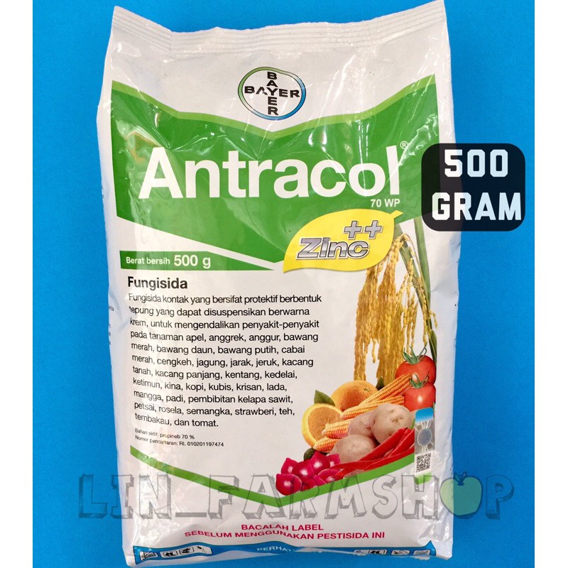 Jual ANTRACOL 70 WP 500 GRAM FUNGISIDA ORIGINAL / ANTRACOL 500GRAM ...