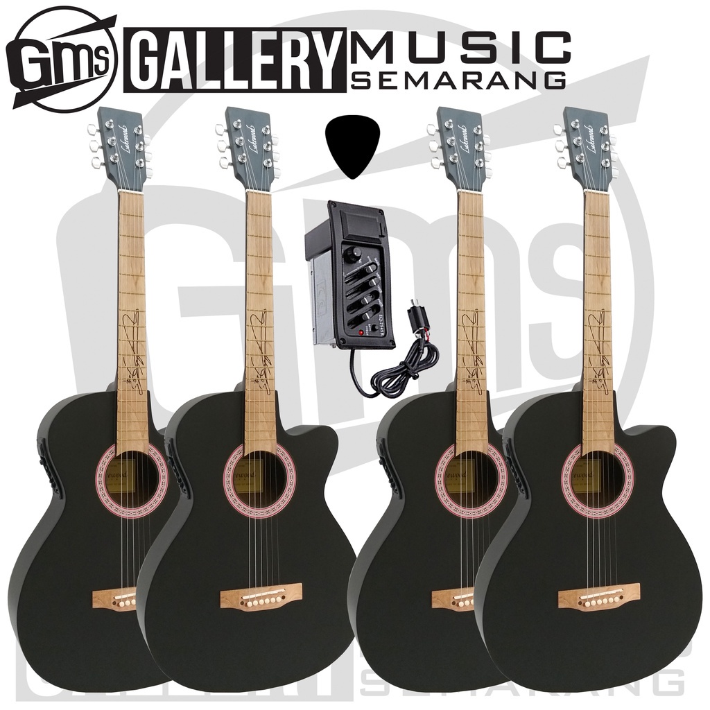 Jual Gitar Akustik Elektrik Lakewood Tanam Besi Bonus Packing Kayu dan ...
