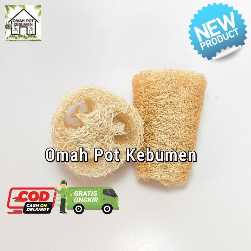 Jual Loofah Sponge Spons Gambas Natural Alami / Spons Sabut Cuci Piring ...
