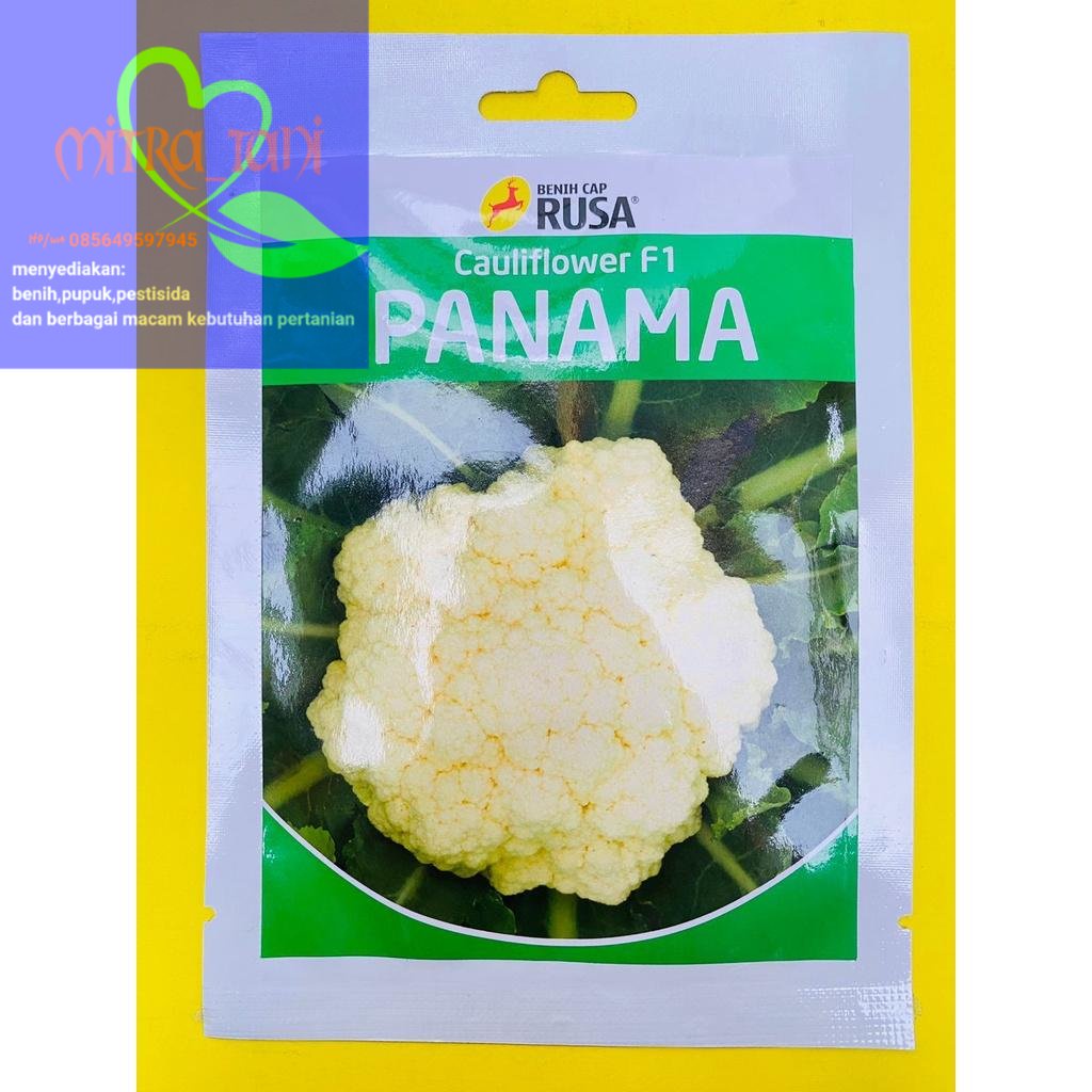 Jual Benih bungkul bunga kol PANAMA kemasan 10gram CAP RUSA | Shopee ...