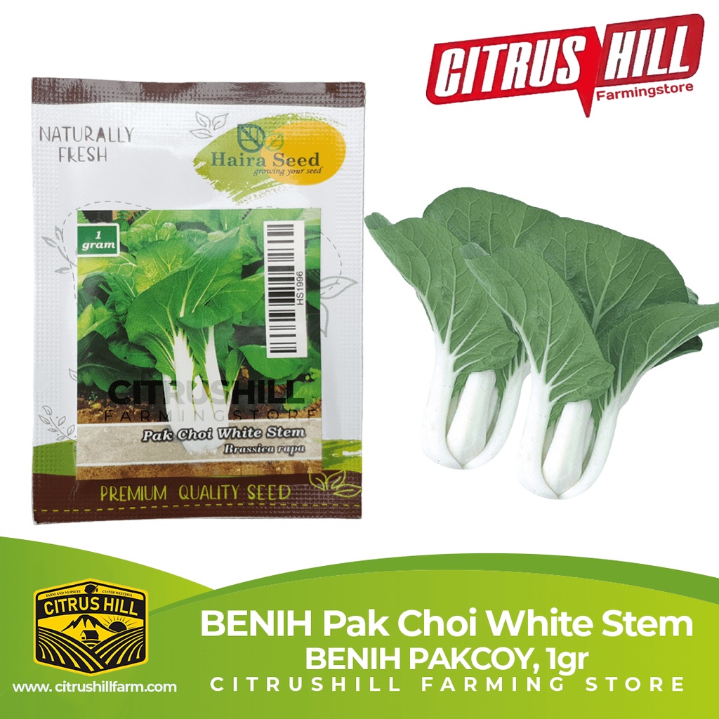 Jual Benih Sawi Pakcoy - Bibit Sawi Pakcoy White Steam (Haira Seed ...