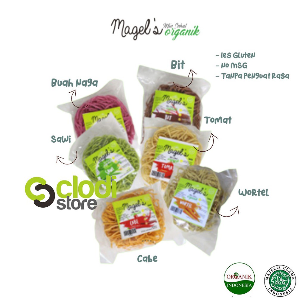 Jual Magels Mie Organik Goreng Sayur Dengan Bumbu Mie Instan Sehat ...